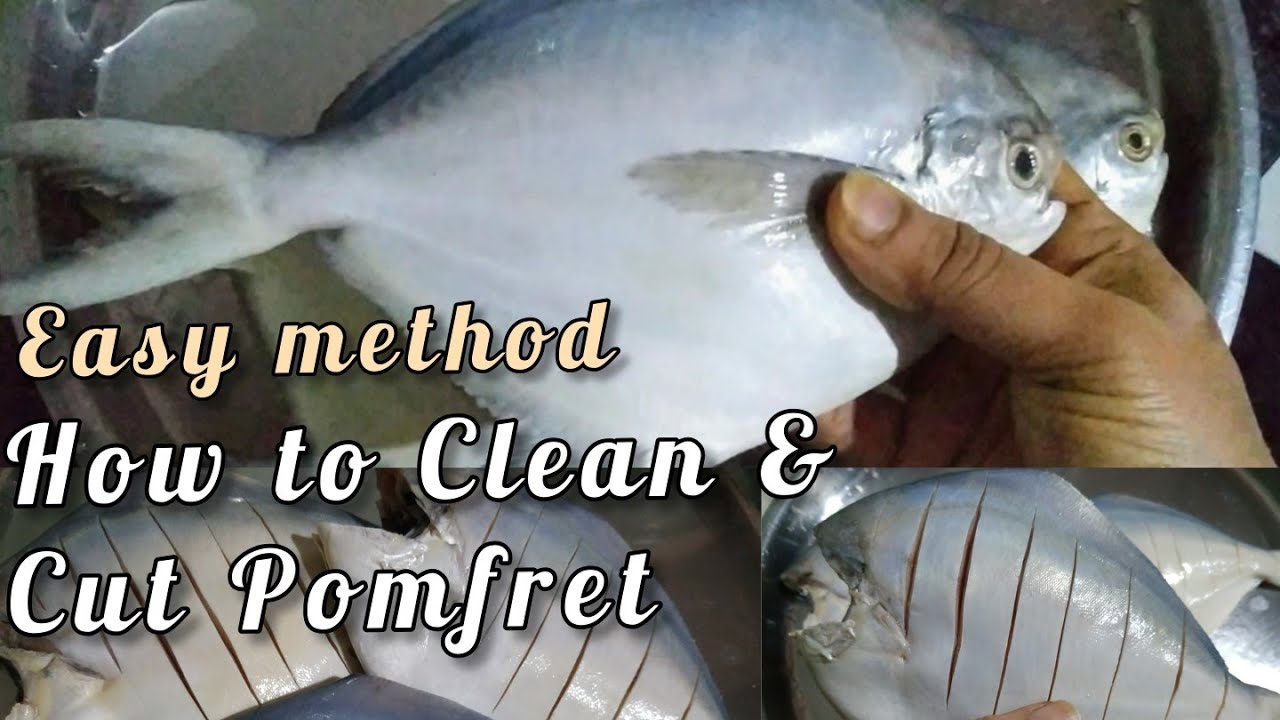 How to clean whole White Pomfret? | Gharajavan - YouTube