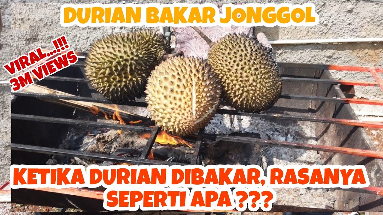 SENSASI "FUNTASTIC" DURIAN BAKAR ALA DURIAN LOVER FARM // GRILLED ...
