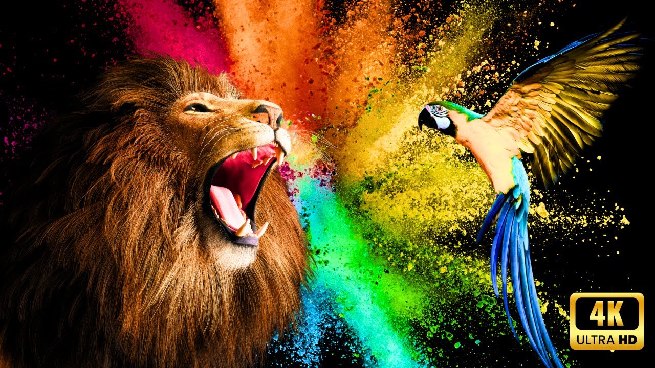 Video IN 4K HDR - ULTRA HD | Peaceful Relaxing Music | Relaxation Film ...