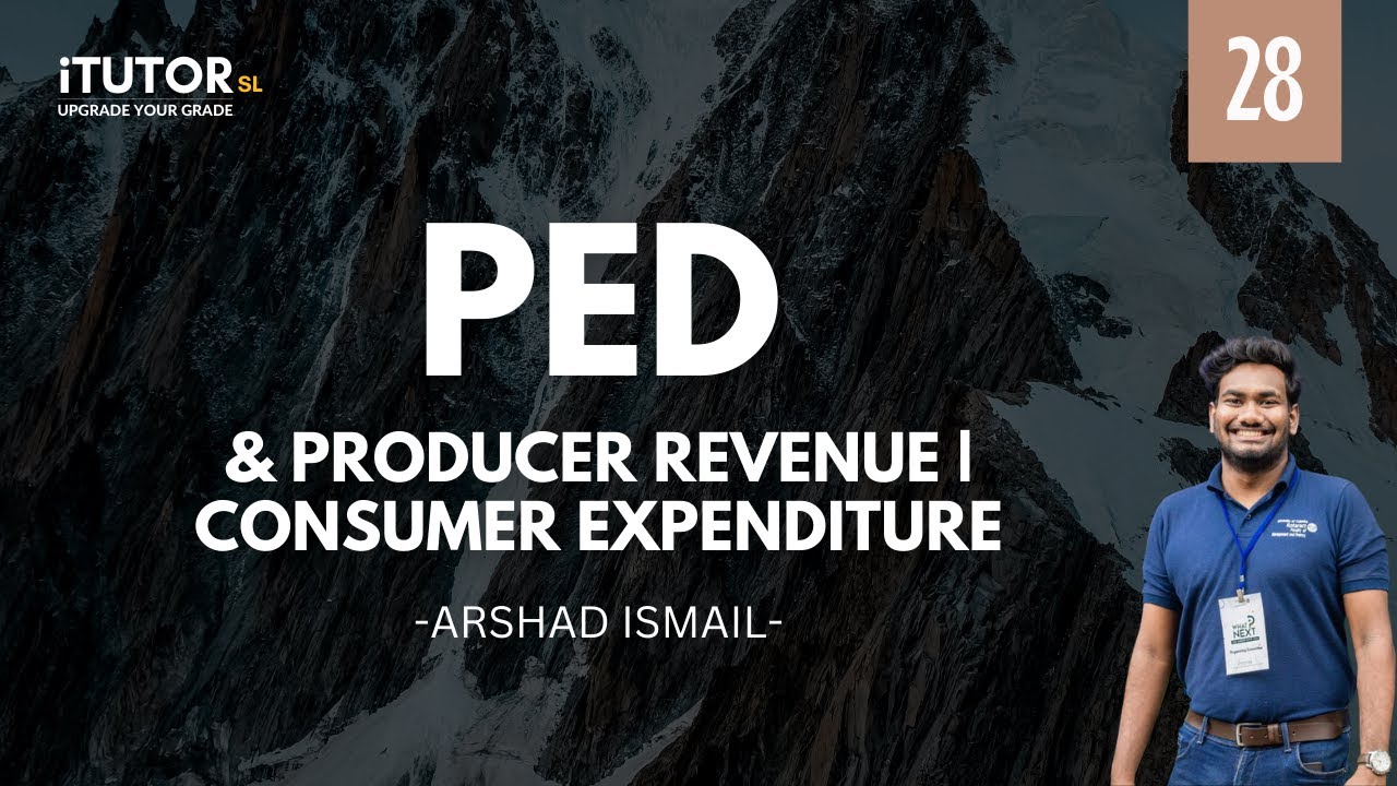 PED and Total Revenue & Consumer Expenditure - YouTube