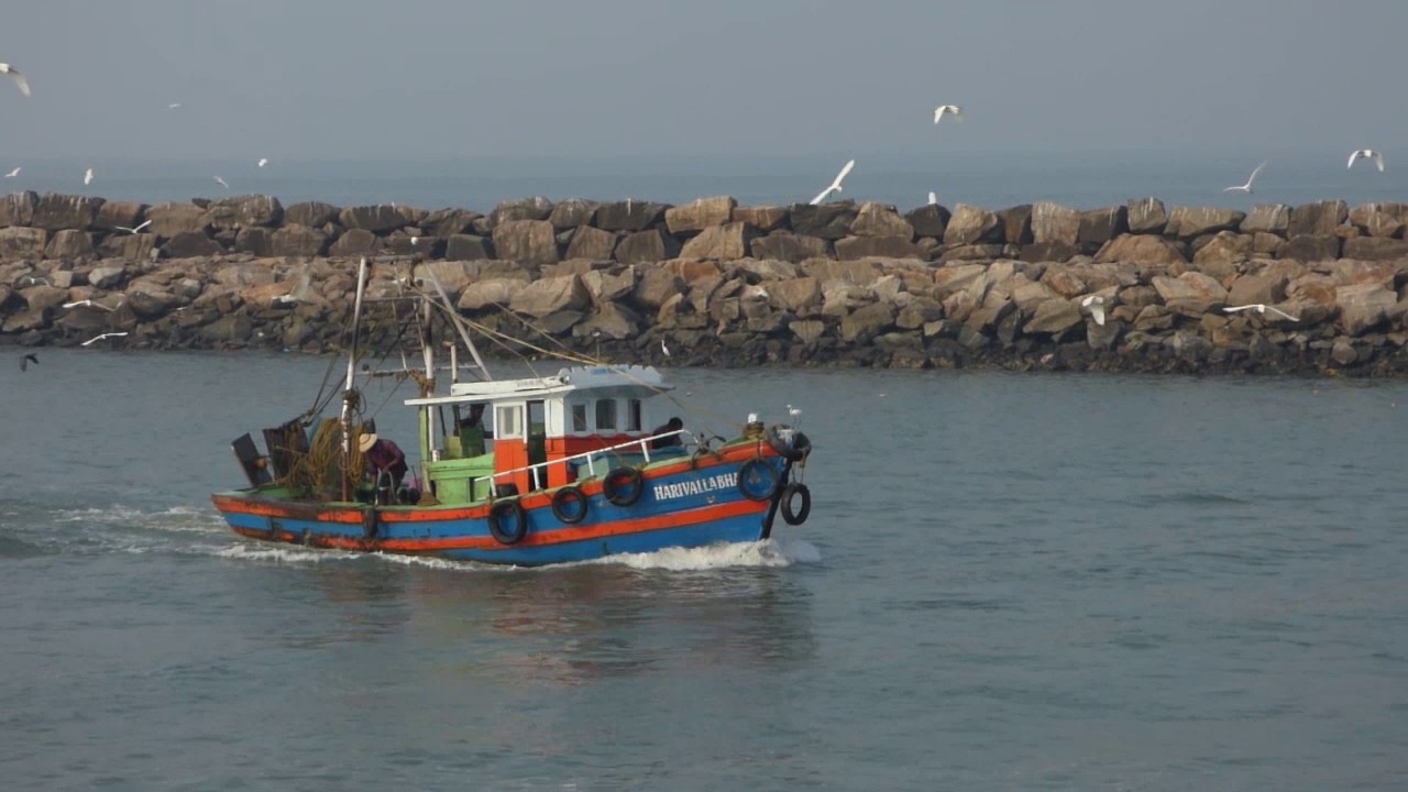 Puthiyara Fishing Harbour - Calicut - Kozhikode - YouTube
