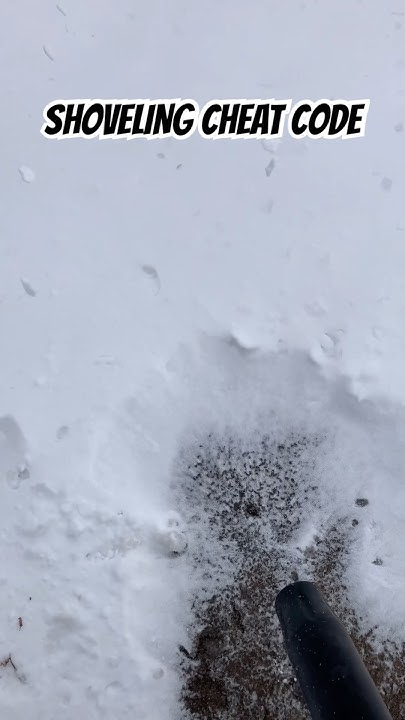 Snow shovel cheat code: Up, up, down, down, left, right, left, right, B ...
