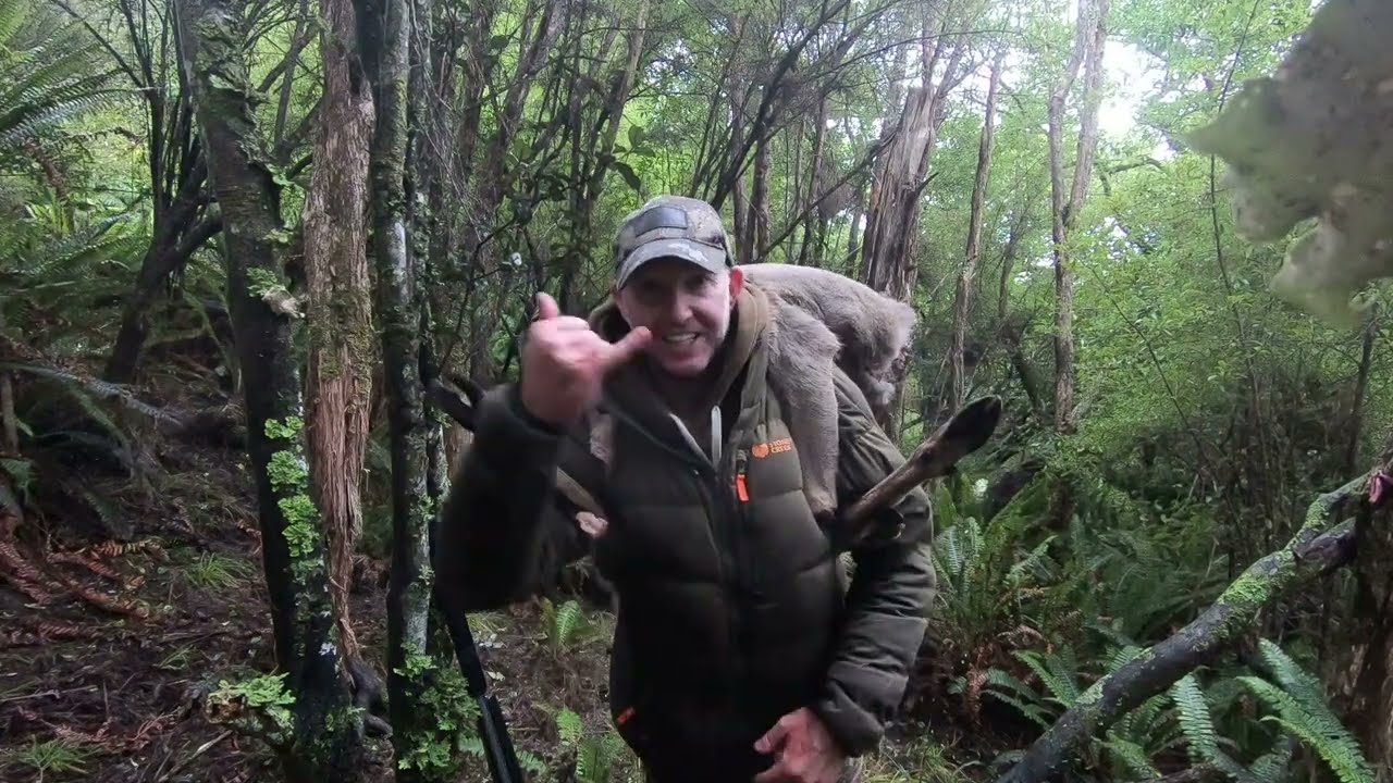 Hunting Whitetail deer Stewart island 2023 Masons bay - YouTube