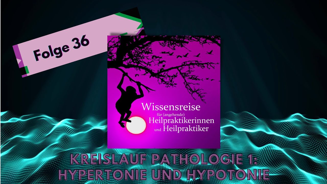 Kreislauf Pathologie 1: Hypertonie und Hypotonie (Folge 36) - YouTube