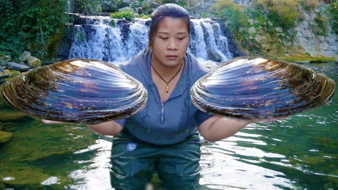 Fertilizing clams in extreme mountain spring water, the pearls inside ...