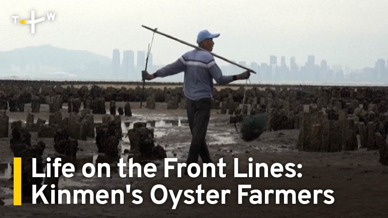 Oyster Farmers on Taiwan's Outlying Kinmen Islands Hope for Peace and ...