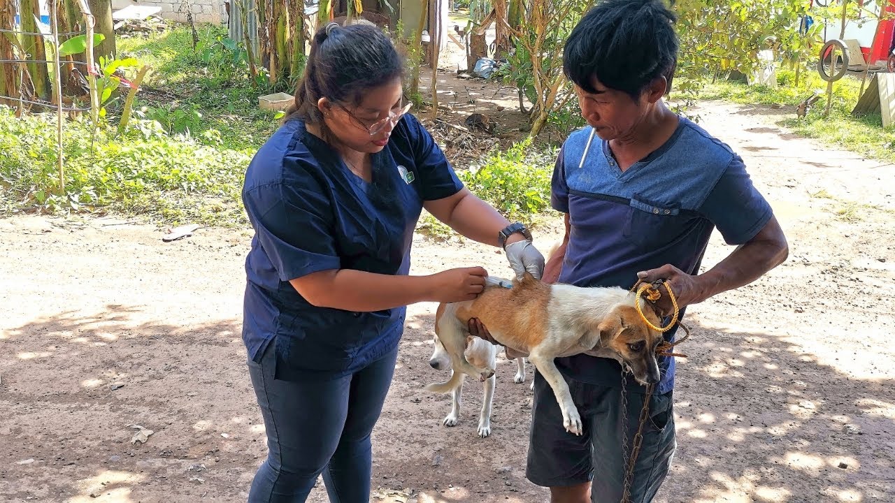 DAY-2 MASARAP NA KAPENG BARAKO AT PRITONG SAGING SA BRGY.HALL NG ...