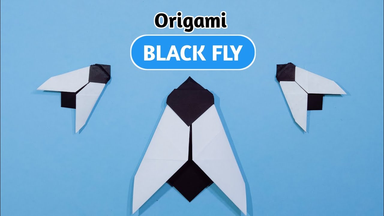 Creative idea, how to make origami black fly || easy origami black fly ...
