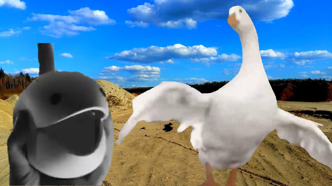 My reaction to this information. Goose Dance. - YouTube