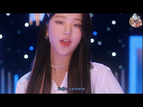 IZ*ONE - Secret Story Of The Swan (Türkçe çeviri)