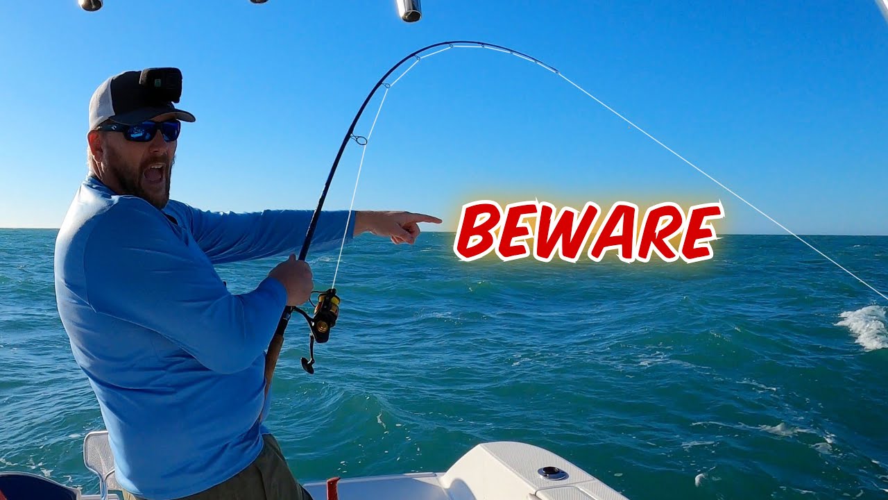 This Fish can get you in big trouble offshore this time of year! - YouTube