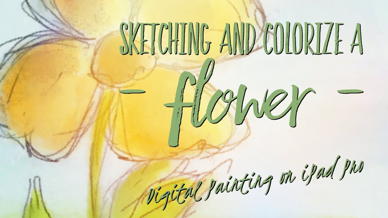 sketching and colorize a flower - digital Art on iPad Pro - Tayasui ...