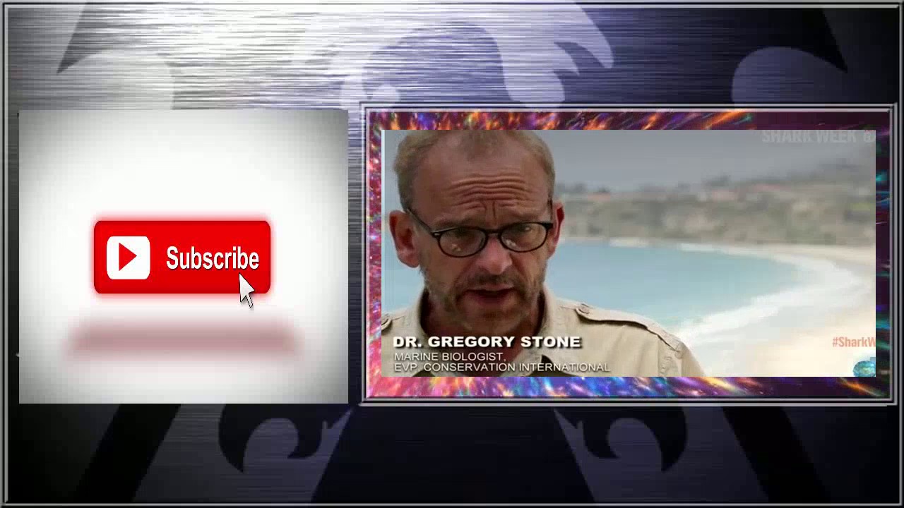 Shark Week Alien Sharks Close Encounters HDTV x264 W4F - YouTube