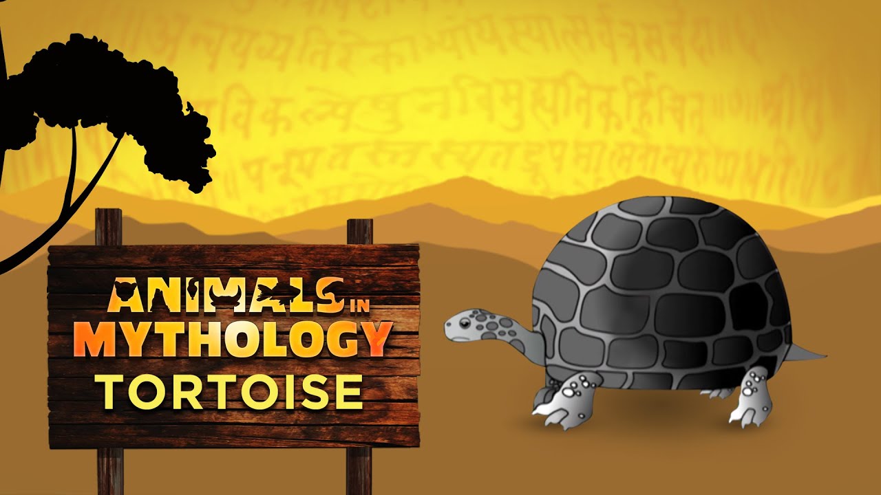 Animals In Mythology - Tortoise | EPIC | Full Episode - YouTube