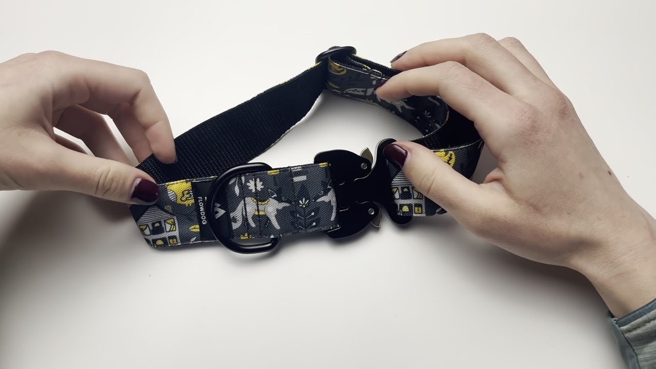 FLOWDOG Nordic Fall - Plus Csatos nyakörv - YouTube