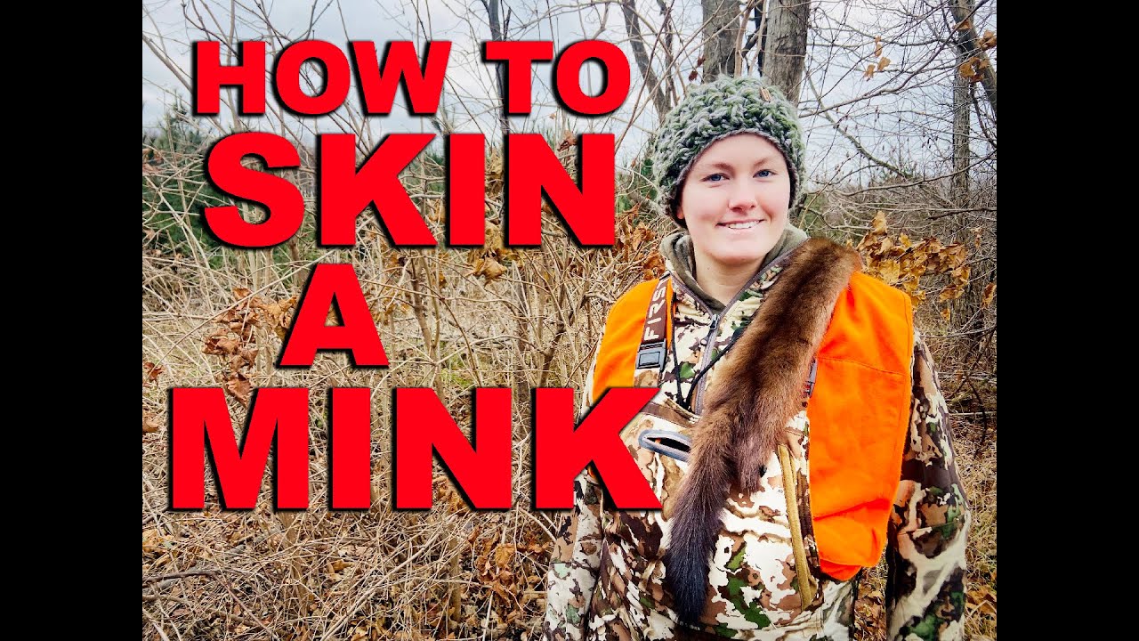 HOW TO SKIN A MINK, 7 MIN HOW TO VIDEO - YouTube