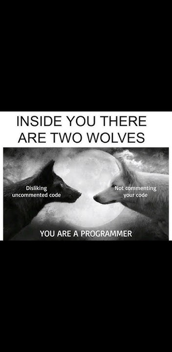 TWO WOLVES INSIDE PROGRAMMER | #shorts #quotes #work #programming # ...