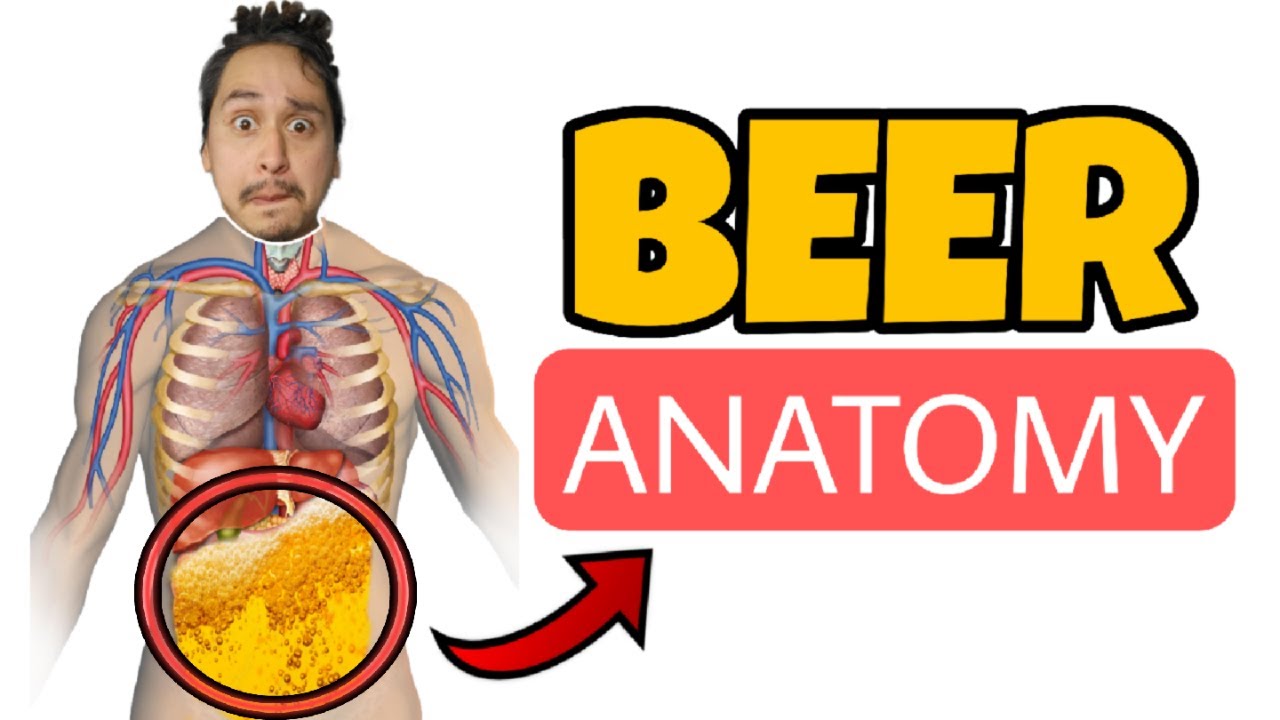 3 Pros and Cons of what beer can do to your body | Giveaway Winner ...
