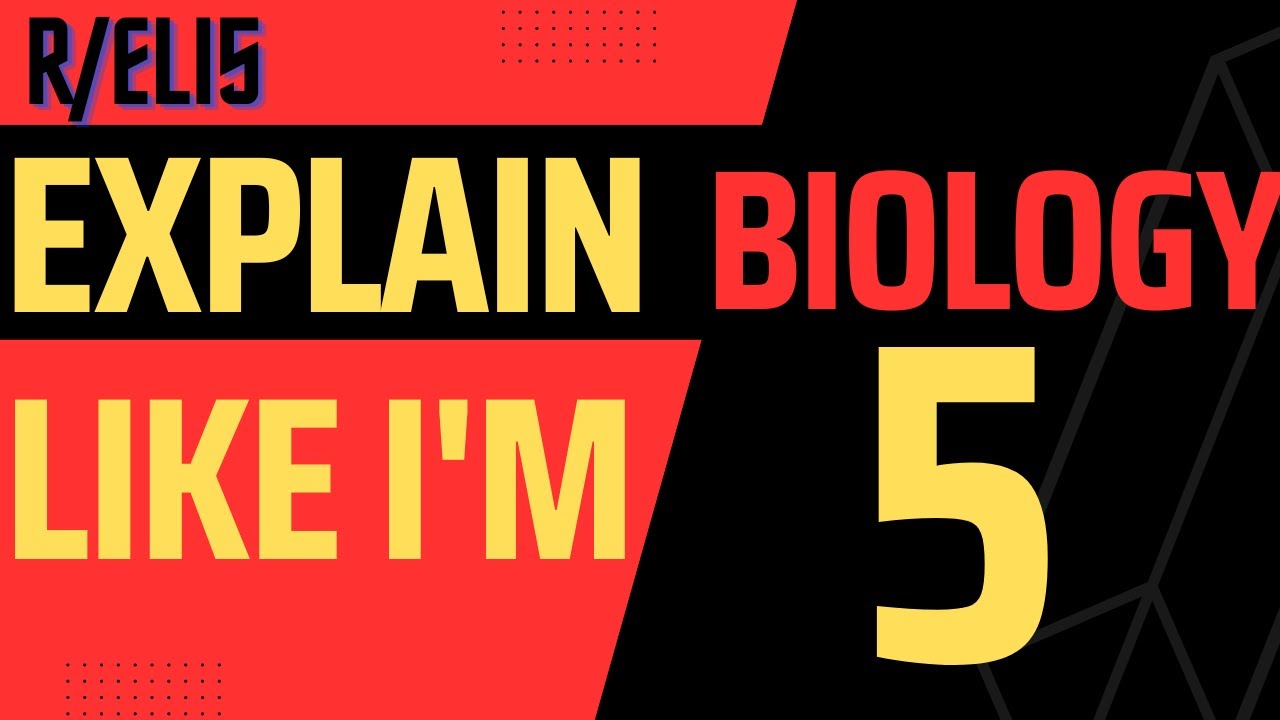 Explain like I'm five BIOLOGY (r/explainlikeimfive) - YouTube