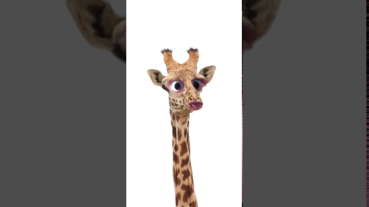 Eine behinderte Giraffe - YouTube