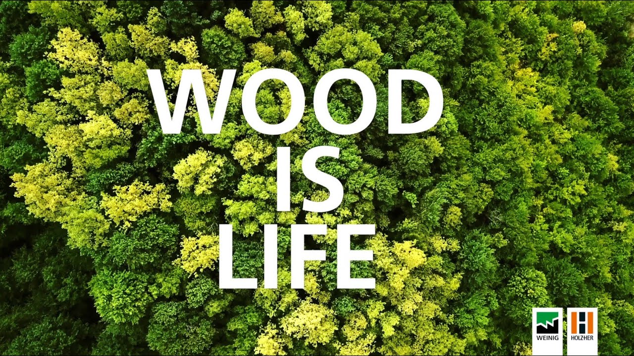 Wood is Life: WEINIG Group - YouTube