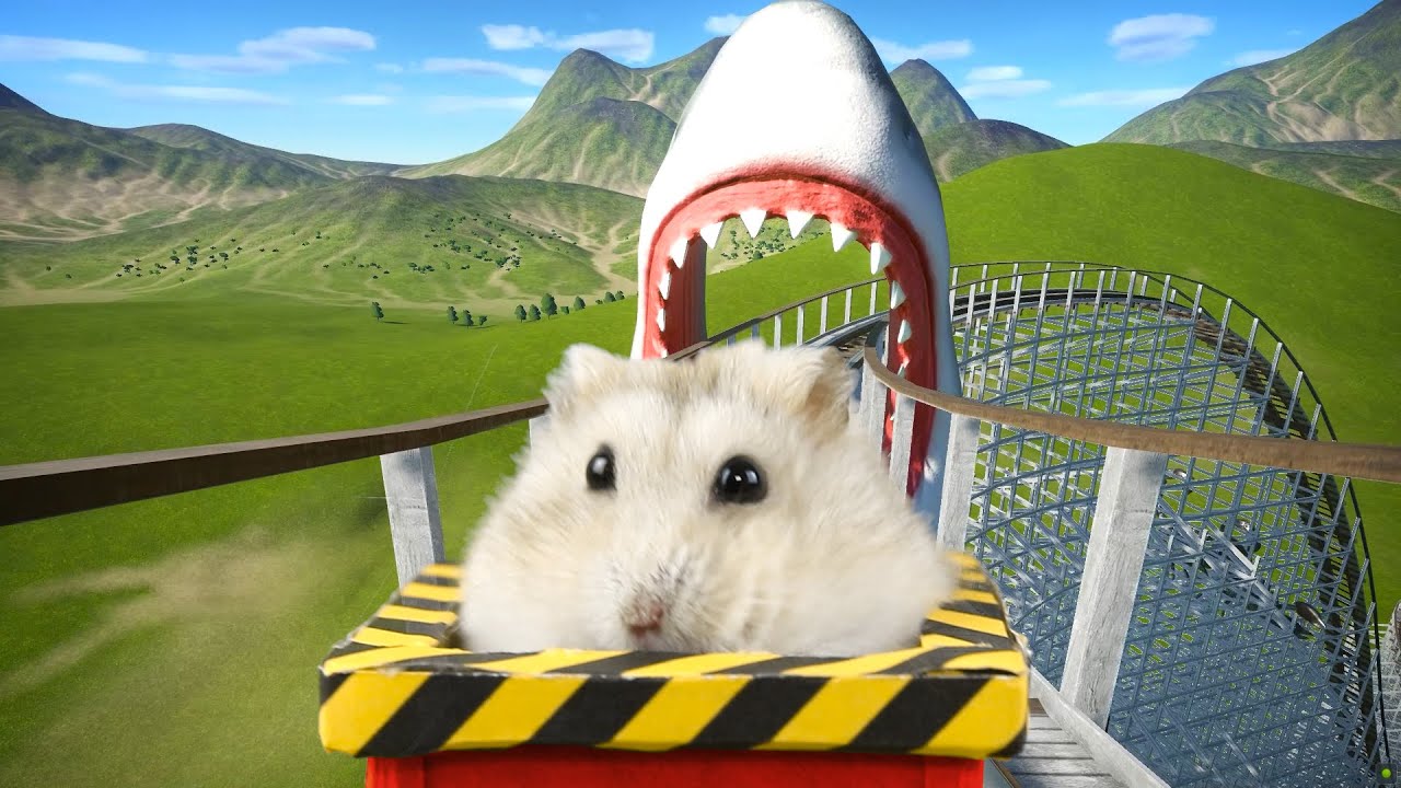 Hamster Escape From Prison Maze In Real Life With - YouTube