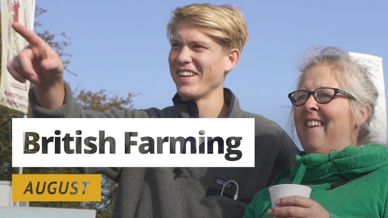 British Farming | 12 Months On A UK Farm: August - YouTube