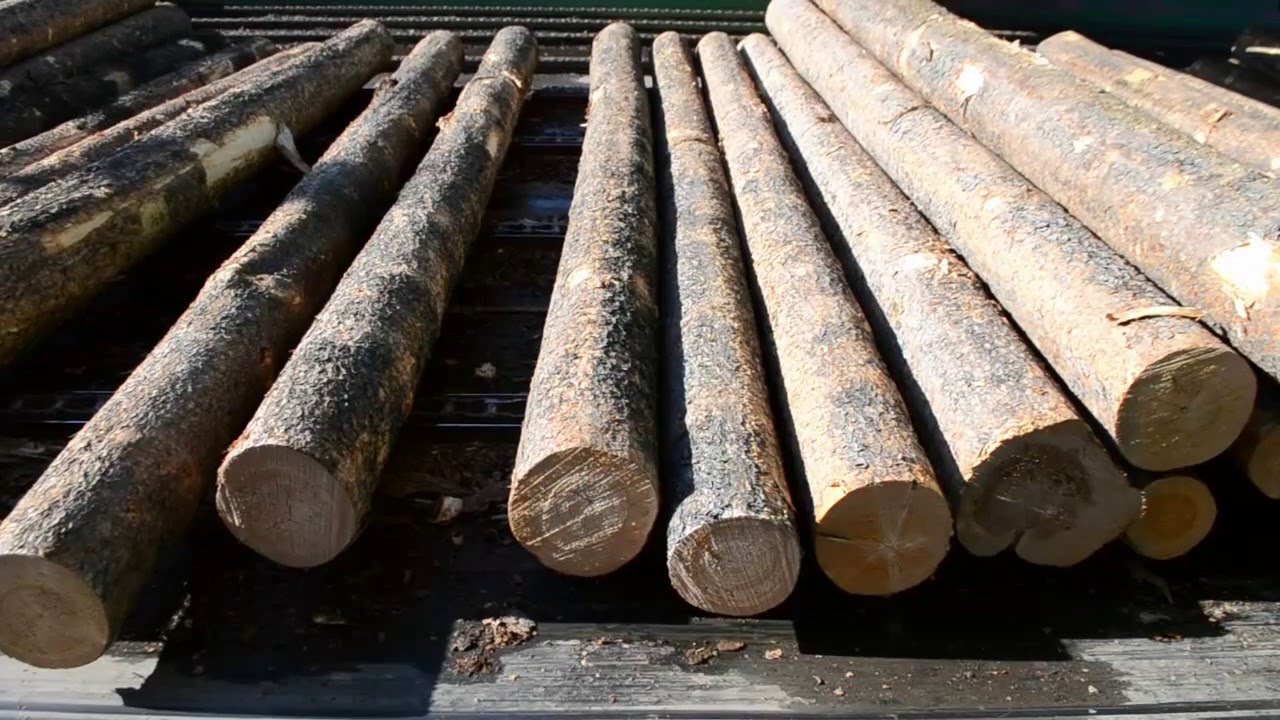 West Fraser LVL - YouTube