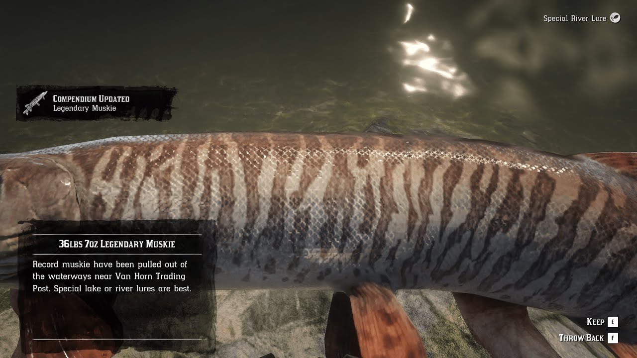 Red Dead Redemption 2 Efsanevi Muskie ( Legendary Muskie ) Avı HD - YouTube