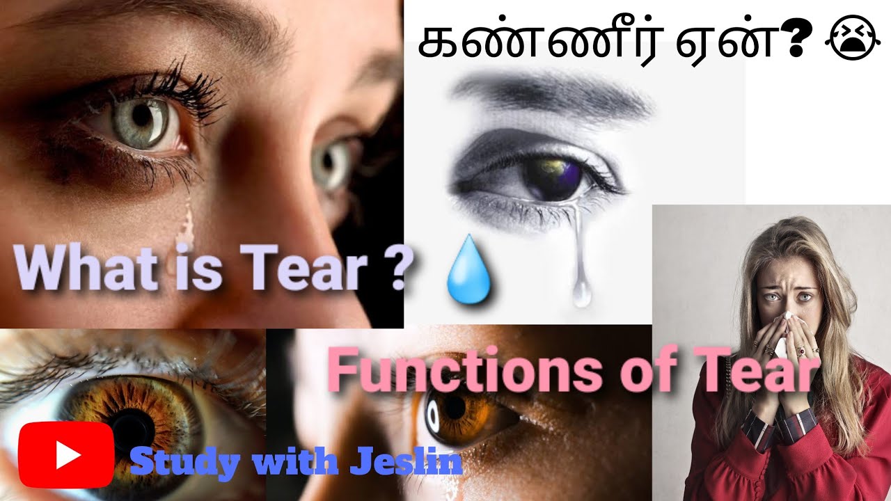 கண்ணீர் ஏன் வருகிறது? What is Tear ? Types of Tears | Functions of Tear ...