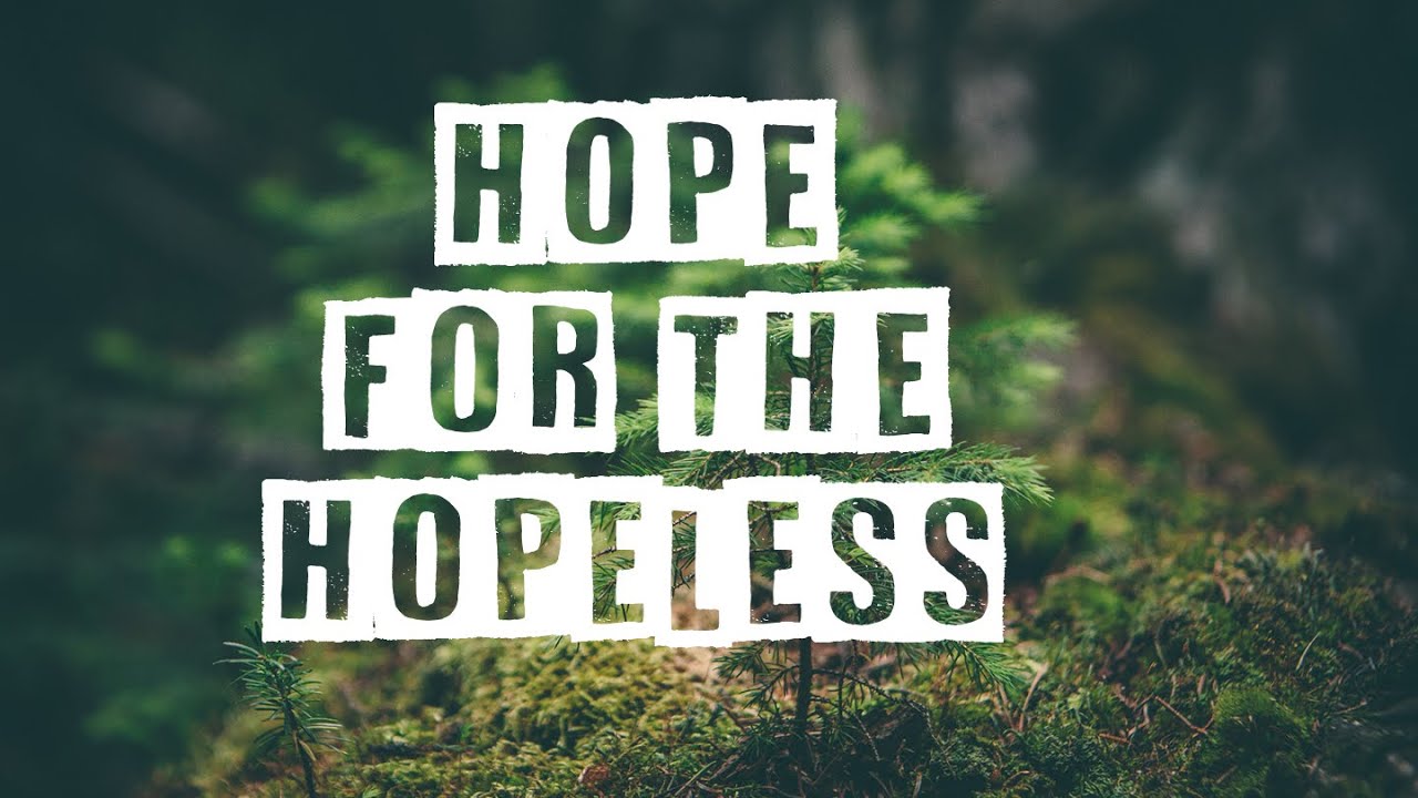 HOPE FOR THE HOPELESS - YouTube