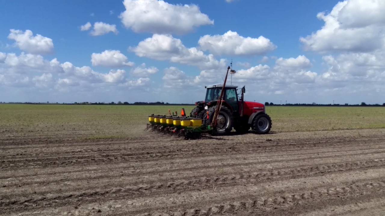 Sorghum/Milo Planting with MF 8160 - YouTube
