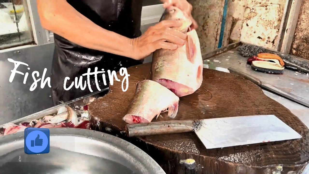 You must watch this fish cutting video | Alive fish cutting video - YouTube