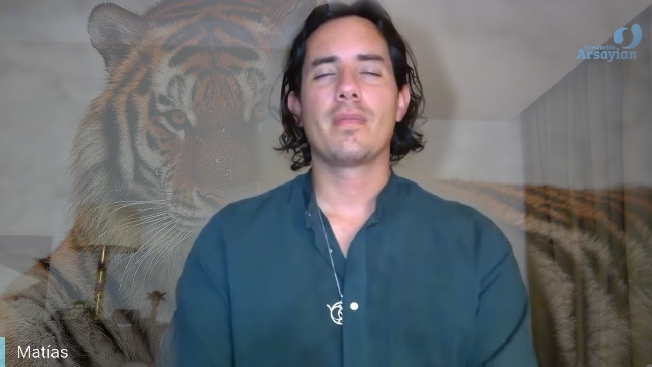 Day 357 ANIMAL - Matias De Stefano - English Edit - YouTube