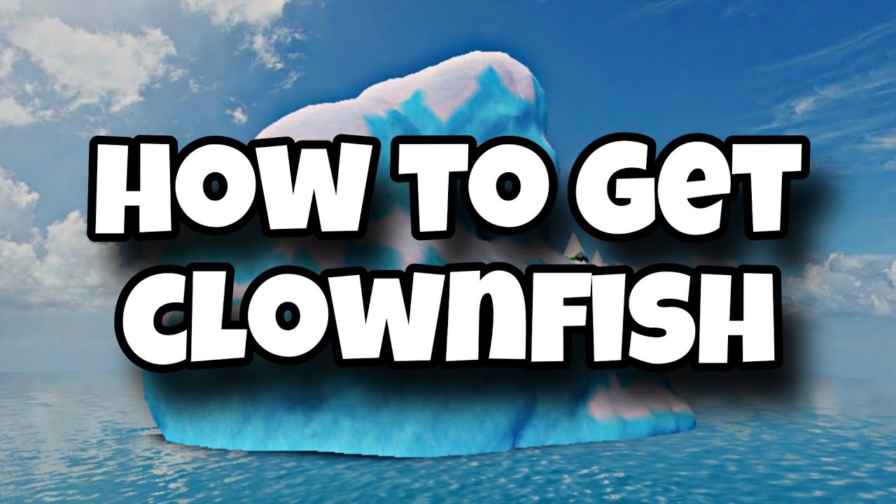 How to Get Clownfish in Be a Silly Seal Roblox | Fishing - YouTube