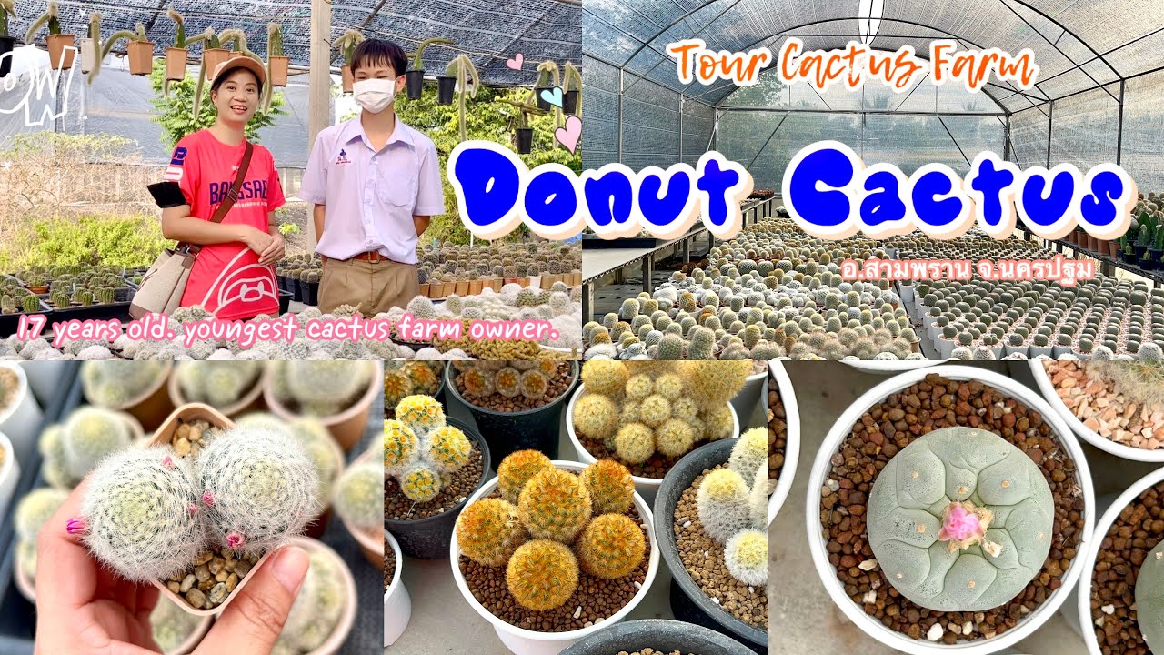 Tour Cactus Farm:🌵💕ทัวร์สวนแคคตัสใกล้กรุง| Donut Cactus@Sampran ...