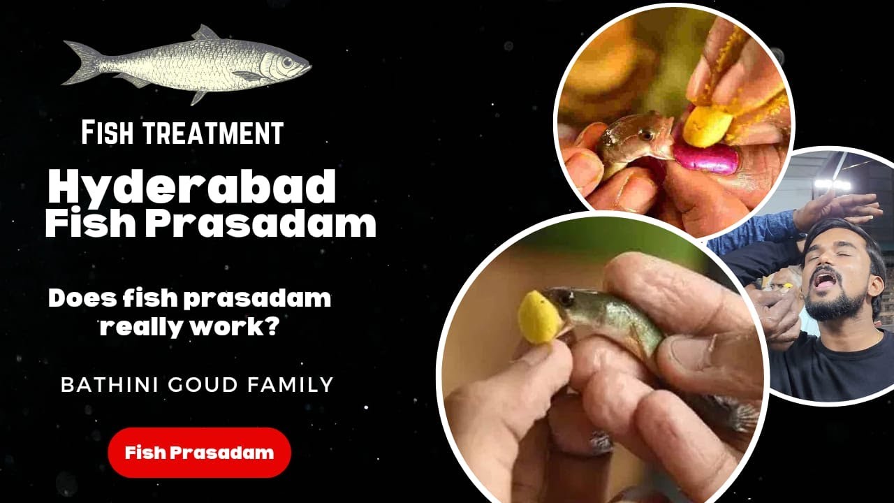 Hyderabad fish treatment | fish prasadam | Detailed vlog | Bathini Goud ...
