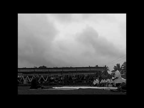 Bose Ni Yasana Tailevu