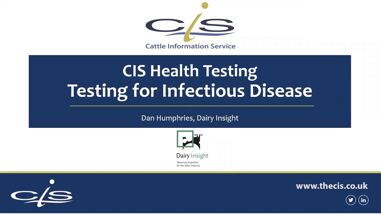 CIS Health Testing Webinar #1: Testing for Infectious Disease - YouTube