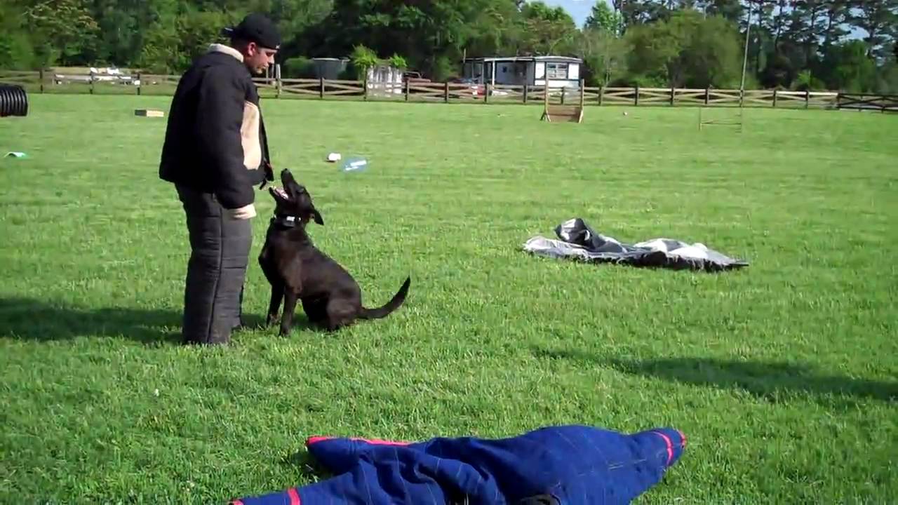 Fend off attack Suit Jacket - YouTube