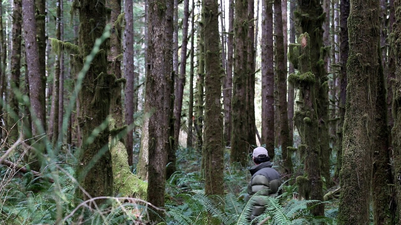 NEW 09/28/2023 " It Was 9 to 9.5 Ft Tall And 10 Ft From Me" - YouTube