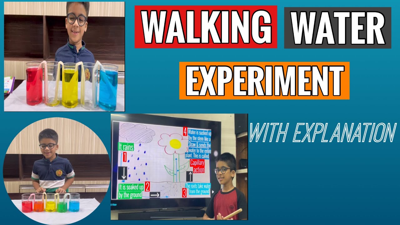 WALKING WATER Science Experiment - Fun Activity Based Learning #8🧑‍🔬 ...