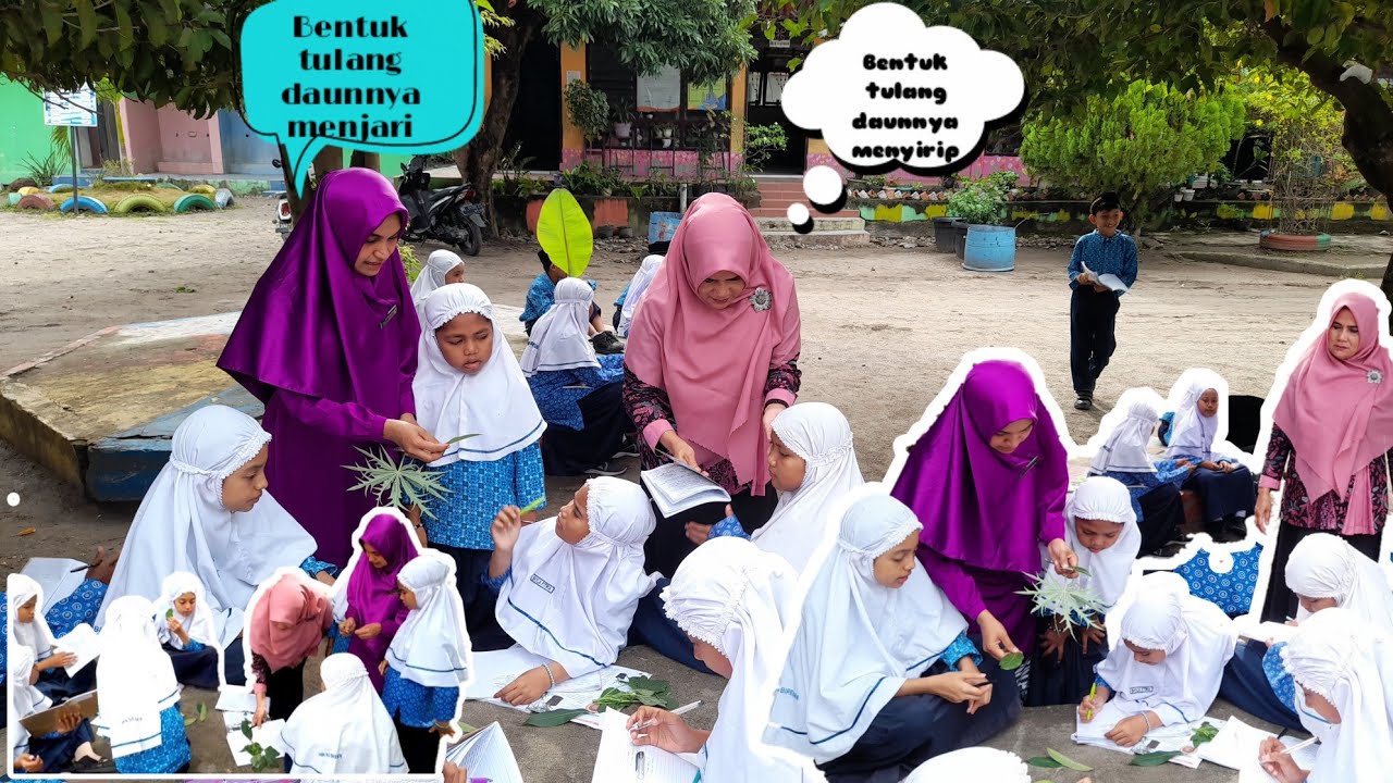 Macam Bentuk Tulang Daun IPAS Kelas IV MIN 50 BIREUEN Juli Cot Meurak ...