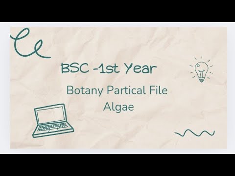 ALGAE , BSC-1 st year Botany partical File with classification. 2021 ...