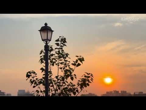 Talk Back And You're Dead BTS × Blackpink Wattpad stories Trailer #bts #blackpink #story #wattpad 