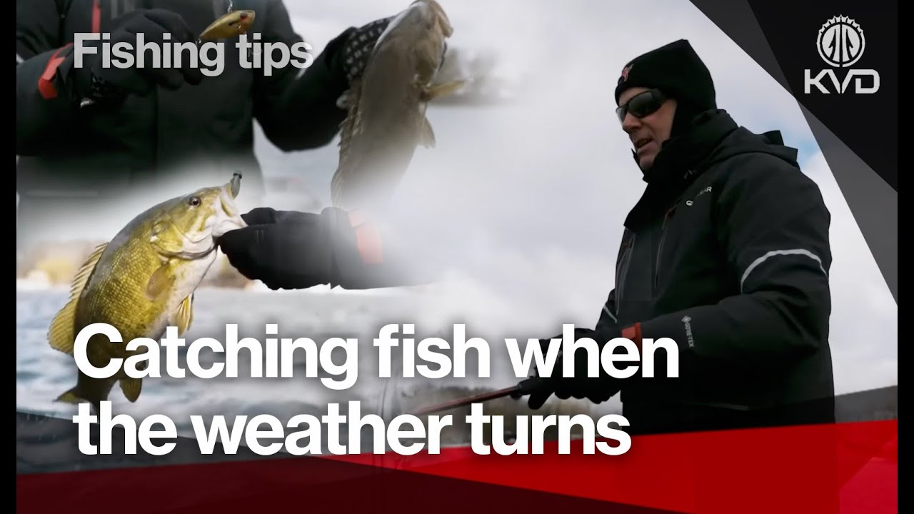 How to turn a tough winter bite to your advantage fishing - with Kevin ...