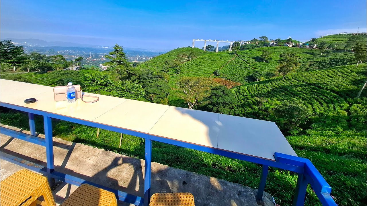 SPOT NGOPI MURAH VIEW KEBUN TEH KEMUNING‼️ WISATA KEBUN TEH KEMUNING‼️‼ ...
