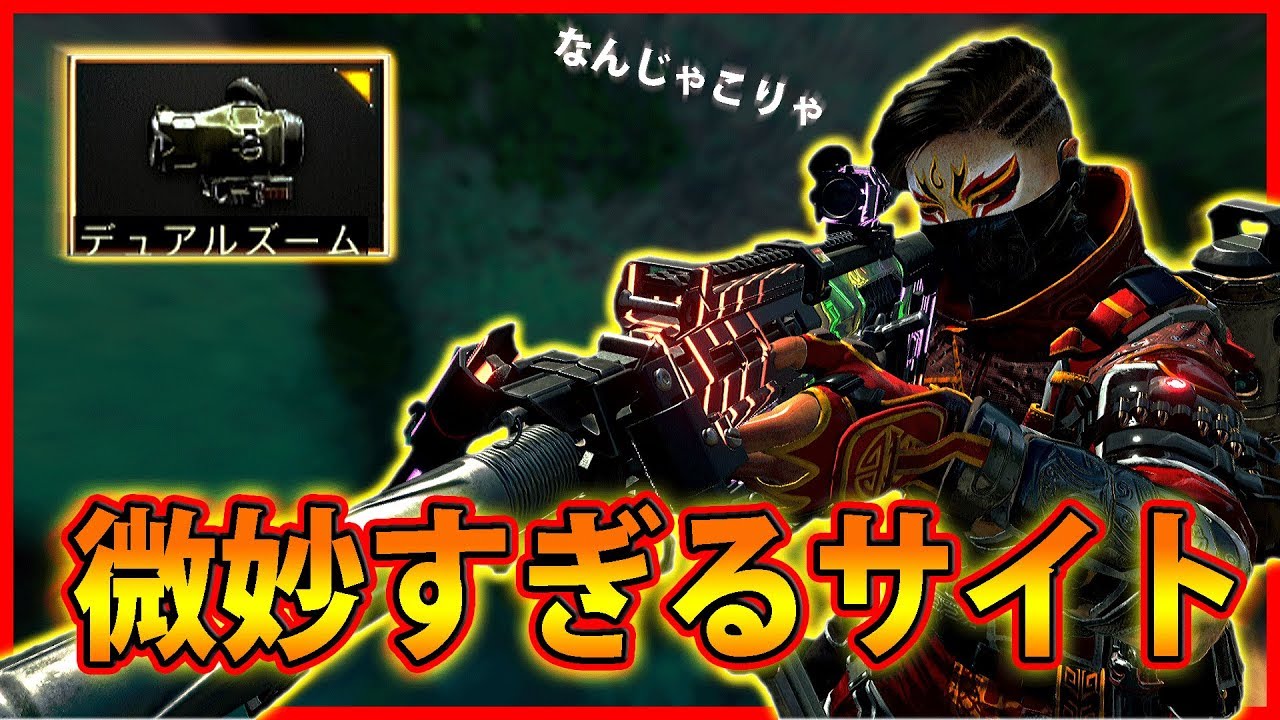【COD:BO4】スナイパー『PALADIN』にとても微妙なデュアルスコープ付けてみたww【中途】 - YouTube