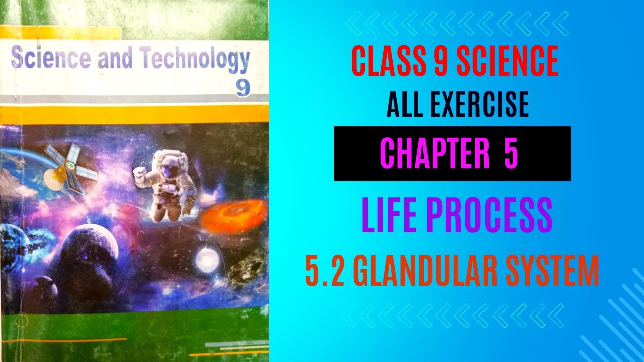 LIFE PROCESS |GLANDULAR SYSTEM| Class 9 |Chapter 5 |Exercise |Science ...