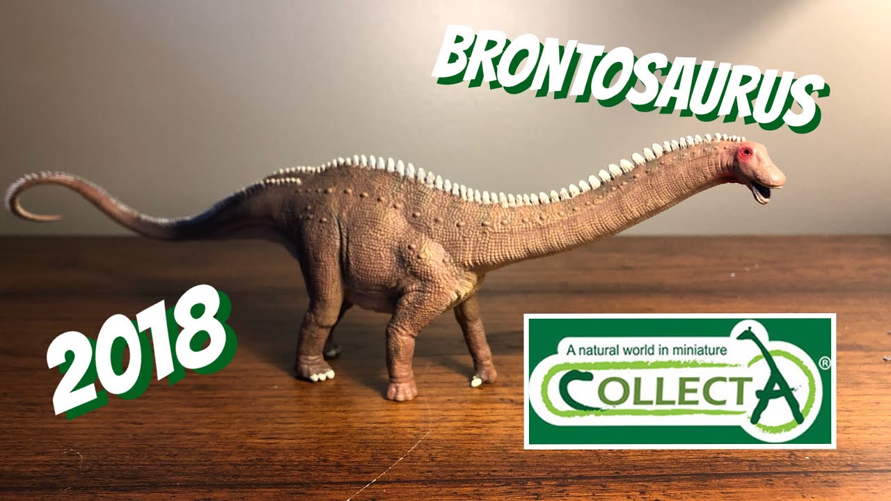 CollectA Brontosaurus | 2018 PaleoPeachxy Review - YouTube